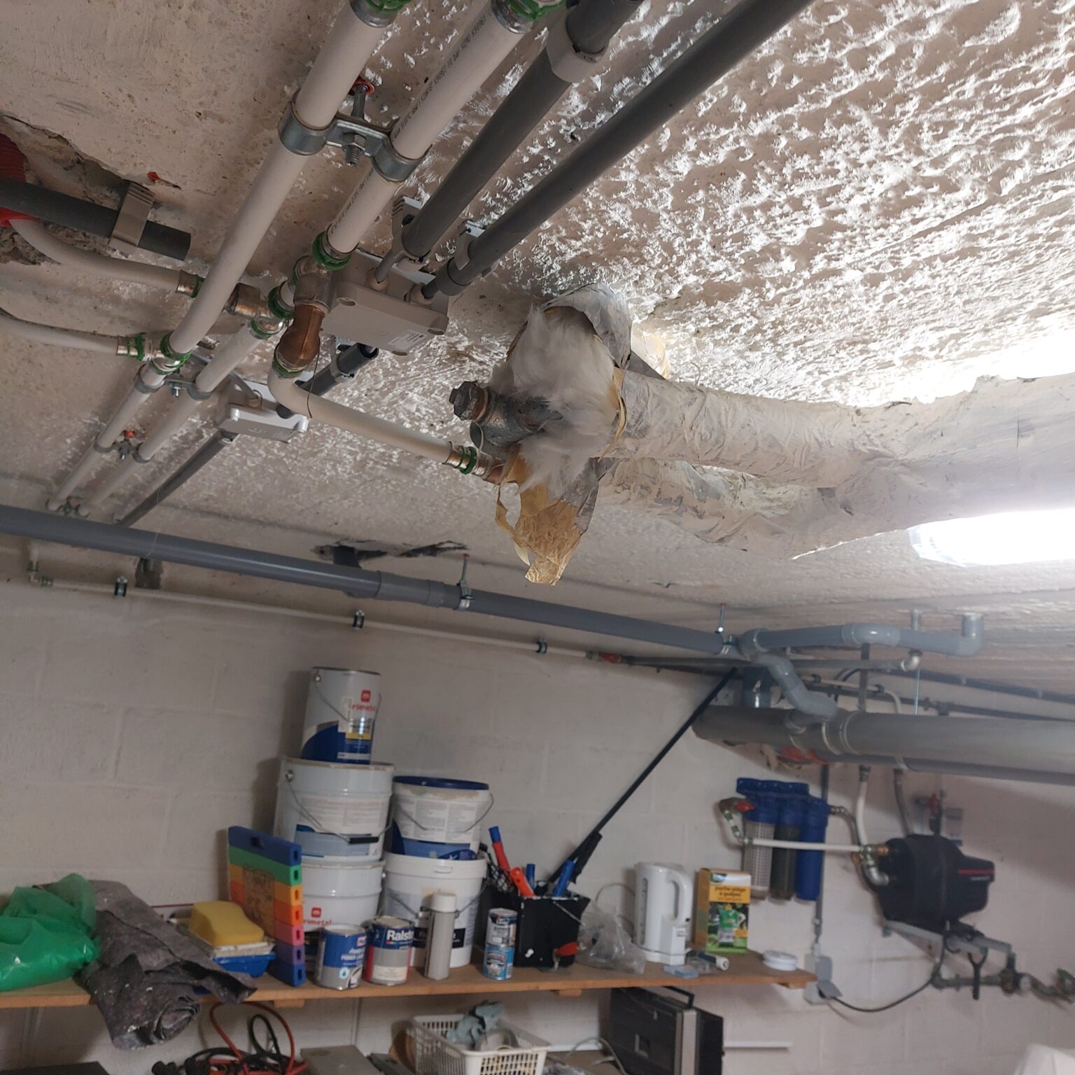 Asbest-attesten – Tony Beelen